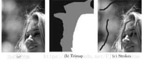 抠图中的trimap和strokes trimap matlab实现 csdn csdn博客