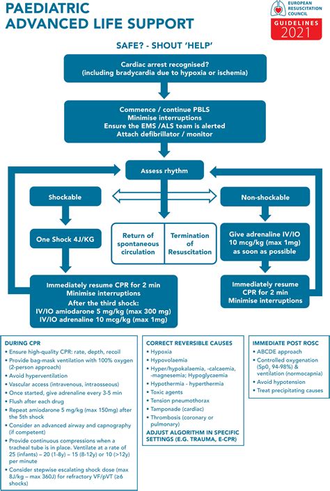 European Resuscitation Council Guidelines 2021 Executive Summary
