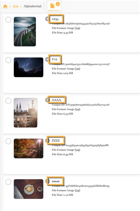 Ordering Your Resources Alphabetical IntelligenceBank HelpDesk