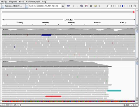 No Coverage At The End Of The Reference After Using Gencore Issue Opengene Gencore Github