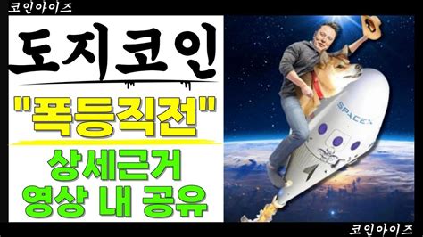 도지코인 1년이상 저점갱신 없던 코인입니다 리플리퍼리움캐리프로토콜시아코인스톰엑스 Youtube
