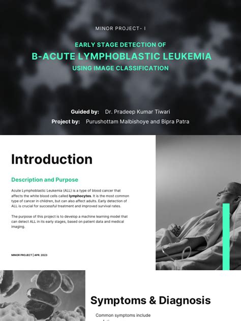 B All Prediction Using Computer Vision Tensorflow Pdf Leukemia Cancer