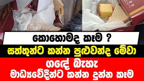 කොහොමද කෑම සත්තුන්ට කන්න පුළුවන්ද මේවා ගඳේ බැහැ මාධ්‍යවේදීන්ට කන්න දුන්න කෑම Youtube