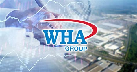 Whas1q23 Revenue And Profits Rise 118 From Foreign Investor