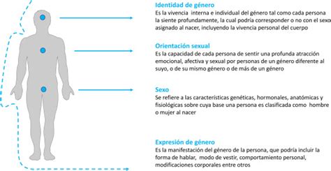 Vida Saludable Descubre Su Importancia Y Beneficios