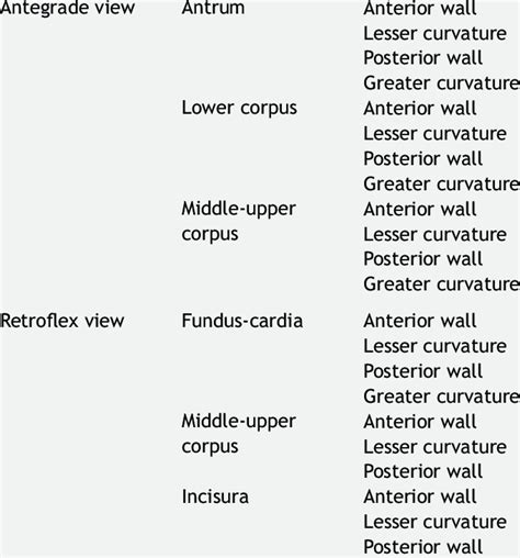 Gastric Mucosa Systematic Screening Protocol Download Table