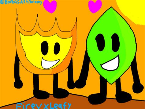 Firey And Leafy Fan Art Ship By Boreasastronomy On Deviantart