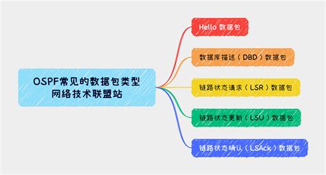 Ospf技术连载15：ospf 数据包的类型、格式和邻居发现的过程ospf数据包 Csdn博客