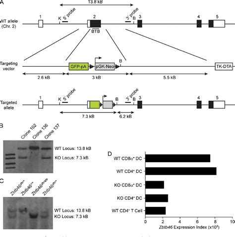 Reticuloendothelial System Semantic Scholar