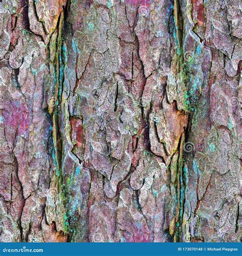 Photo Realistic Seamless Texture Pattern Of Tree Bark In High Resolution Stock Photo Image Of