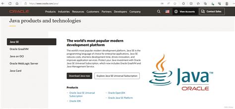 jdk17的安装（windows） windows安装jdk17 csdn博客