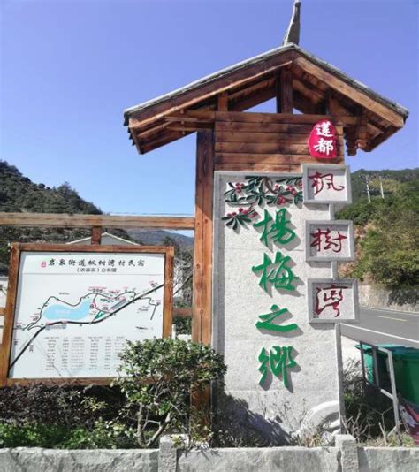 枫树湾：整合资源，发展民宿，玩转乡村旅游新增长