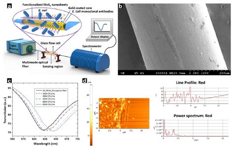 Recent Advances In Surface Plasmon Resonance Sensors For Sensitive