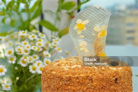 자두와 꿀 케이크 식은 죽 먹기 꽃 배경이있는 수제 케이크 달콤한 디저트 밀가루 쇼트닝 계란 설탕 및 기타 재료의 혼합물로 만든 달콤한 케이크 구운 장식 꿀에 대한 스톡