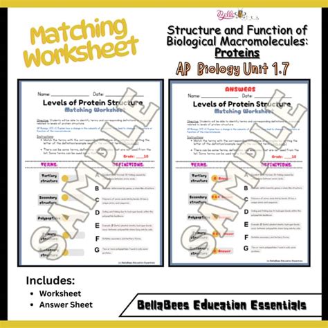 Ap Biology Unit 1 7 Protein Structure Matching Worksheet Macromolecules