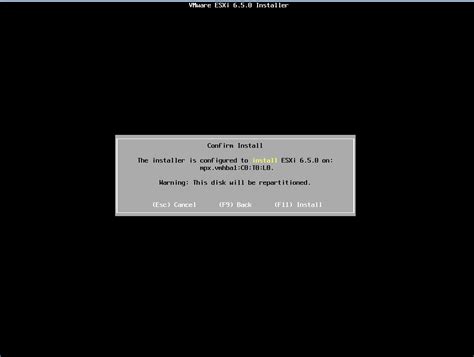 Just One More Esxi Guy ESXI Installation