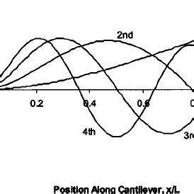 Phase Angle Vs Frequency Ratio For The First Mode X L