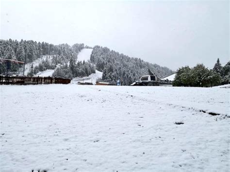 Юг Франции накрыло снегом ВИДЕО Полемика