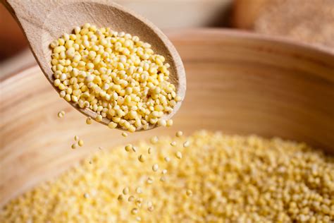 What is Millet?