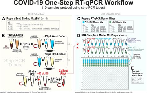 One Step Rt Qpcr Workflow For Quantification Of Salivary Sars Cov 2 Download Scientific Diagram