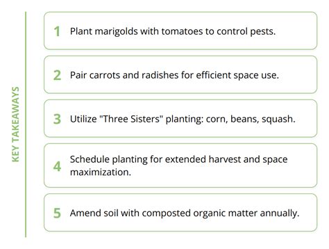 How To Implement Companion Planting In Your Garden Artmyst Garden
