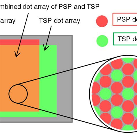 Schematic View Of Dot Array Of Psp And Tsp Download Scientific Diagram