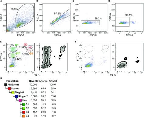 Flow Cytometry Analysis And Gating A Scatter Gate For Debris Flow Cytometry Analysis And Gating A Scatter Gate For Debris