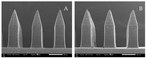 Fabrication And Characterization Of Dissolving Microneedles Containing Oryza Sativa L Extract