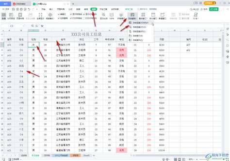 Wps表格如何冻结指定的行和列 Wps表格冻结任意行和列的方法教程 极光下载站