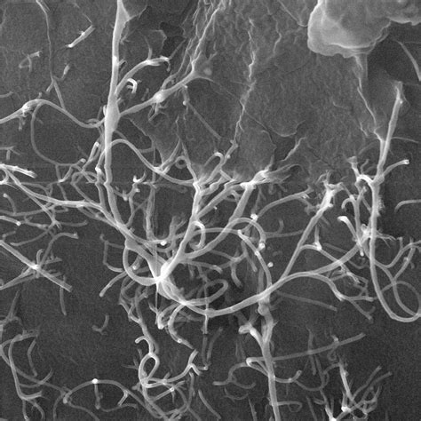 Graphene Nanotubes For Industrial Applications