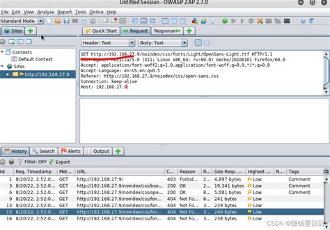 网络安全——owasp Zap的使用 Owasp Zap Wasa Csdn博客