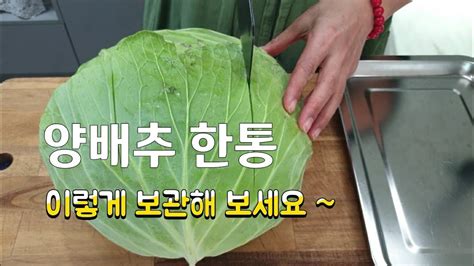 양배추 보관 꿀팁 양배추 한통 이렇게 보관하면 버리는거 하나도 없어요 Youtube