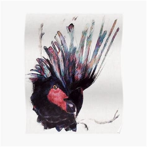 Australian Black Cockatoo Poster For Sale By Maestro Arts Au Redbubble