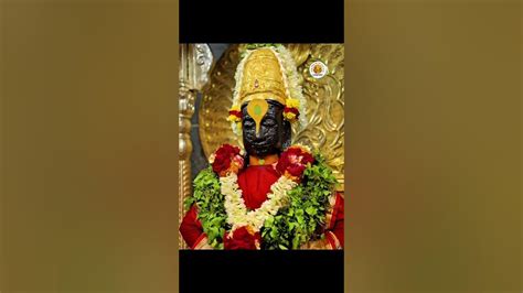 सोमवार ते रविवार श्री विठ्ठल व रुक्मिणीमाता दर्शन व नित्य पूजा पंढरपूर