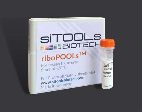 Human Mouse Rat Ribo Seq 96 Rxn Probes Galen Molecular
