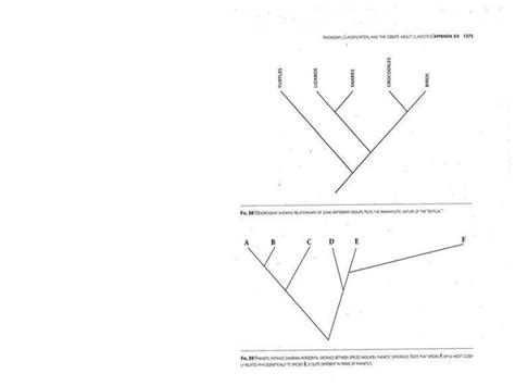 Principles Of Taxonomy Pptx
