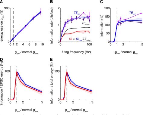 Figure 1 From Energy Efficient Information Transfer At Thalamocortical Synapses Semantic Scholar