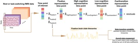 assessing moment to moment brain state engagement with non negative