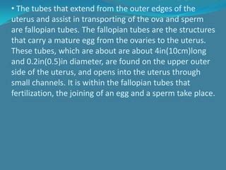 Chapter 10 Powerpoint PPT