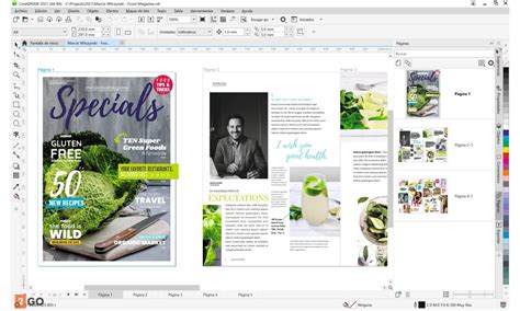 Coreldraw Graphics Suite 2021 Para Windows Compra única