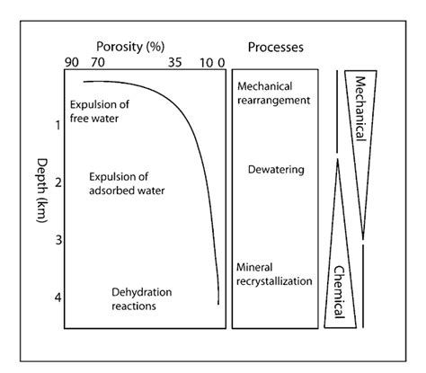 Model Showing Processes That Drive Porosity Reduction As A Function Of