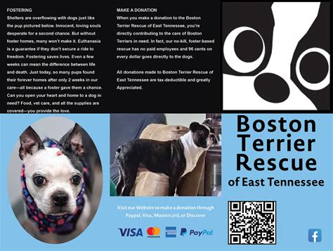 Brochure Assignment Behance