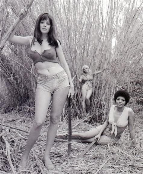 60s And 70s Pinup And Actress Phyllis Davis She Appeared In American