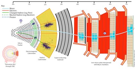 The Detector