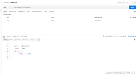 Springboot 临时授权如何实现临时授权 Csdn博客