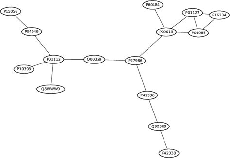 27 L Graal Pathways Hsa05200 And Mmu05200 Subgraph Is Preserved In Hs Download Scientific