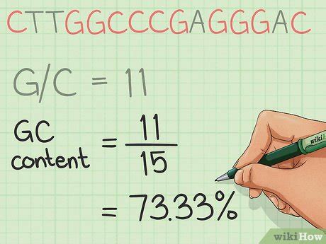 How To Determine The GCContent Of A DNA Sequence 2 Steps