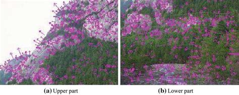 Feature Point Detection Images Download Scientific Diagram
