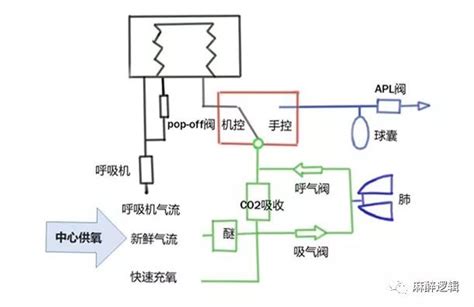 入门必看 从风箱的工作原理看懂麻醉机 气流