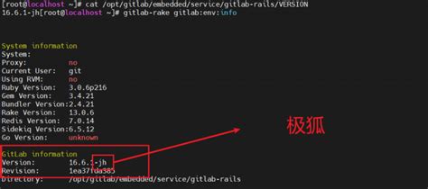 Gitlab和极狐什么关系 Gitlab和gitee的区别 Gitlab中文网站